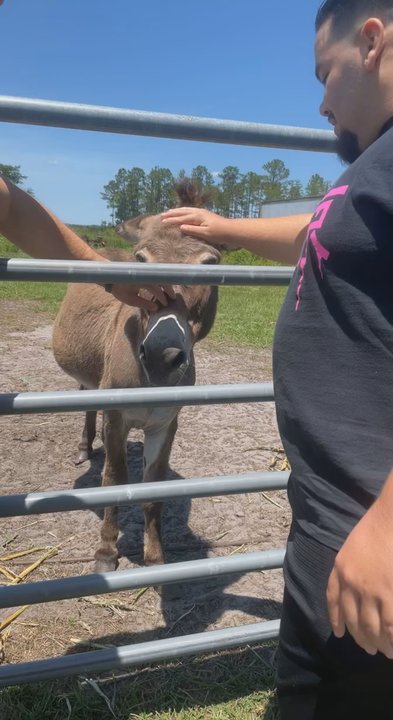 WESLEY WELLS FARM - Updated December 2025 - 108 Photos & 12 Reviews ...