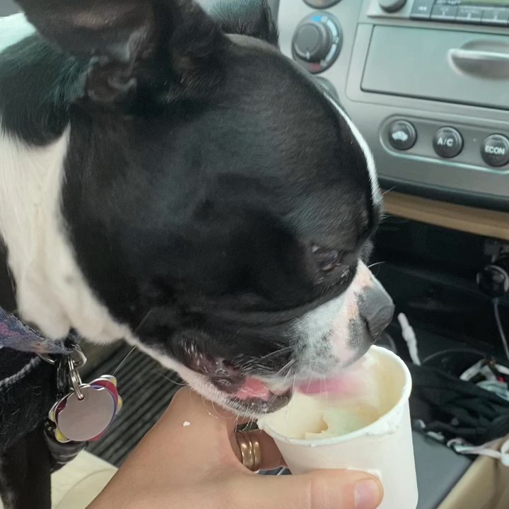 THE JAVA HOUSE - MORMON TREK - Updated November 2025 - 73 Photos & 54 ...