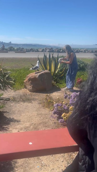 MERSEA RESTAURANT & BAR - Updated December 2025 - 2139 Photos & 1435 ...