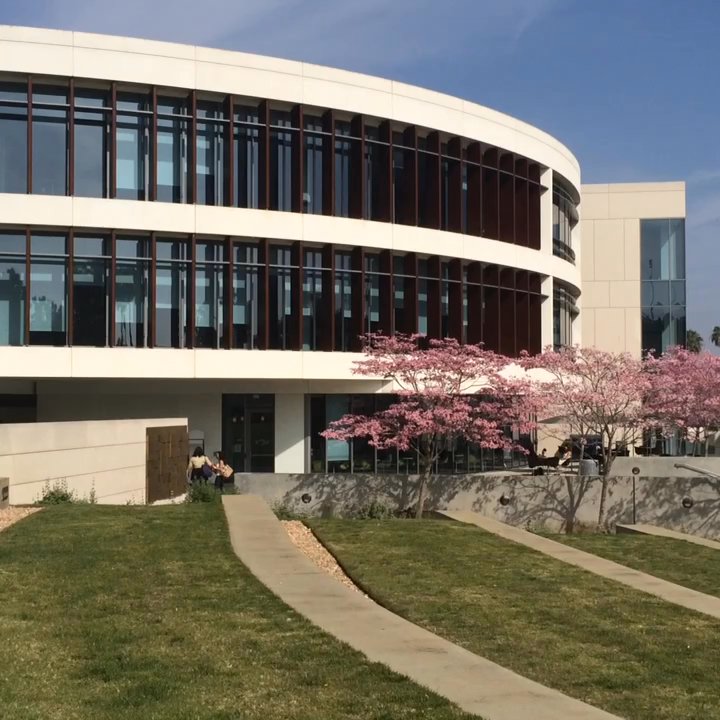 WILLIAM H HANNON LIBRARY - Updated December 2025 - 51 Photos & 41 ...