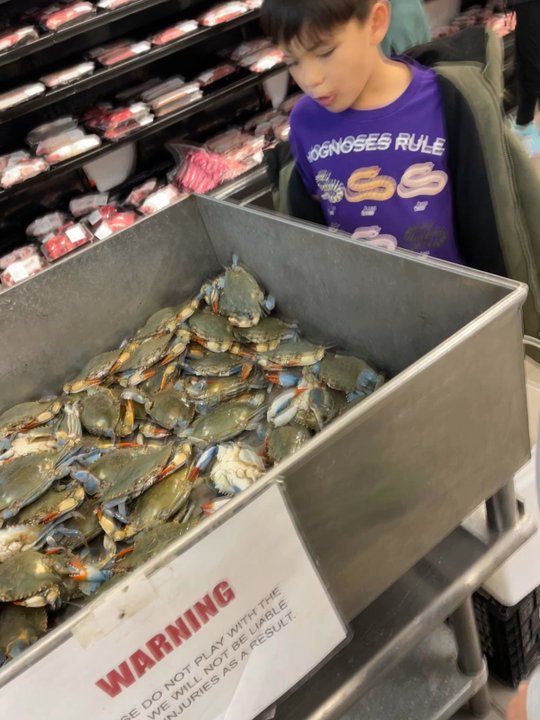 ASIAN MART - Updated December 2025 - 152 Photos - 12160 Technology Dr ...