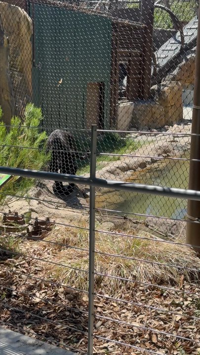 ORANGE COUNTY ZOO - Updated February 2025 - 1394 Photos & 393 Reviews ...