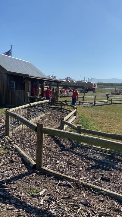 FUN FARM PUMPKIN PATCH - Updated December 2025 - 108 Photos & 47 ...