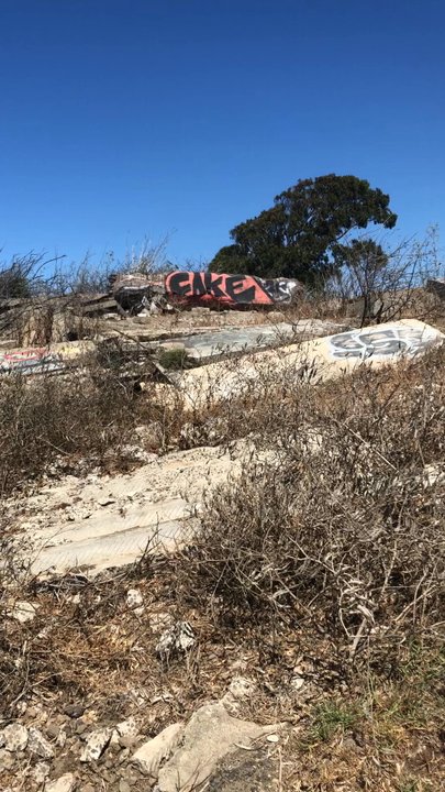 ALBANY BULB - Updated January 2025 - 984 Photos & Average of 4.5 Stars ...