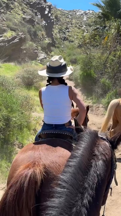 SMOKE TREE STABLES - Updated February 2026 - 359 Photos & 326 Reviews ...
