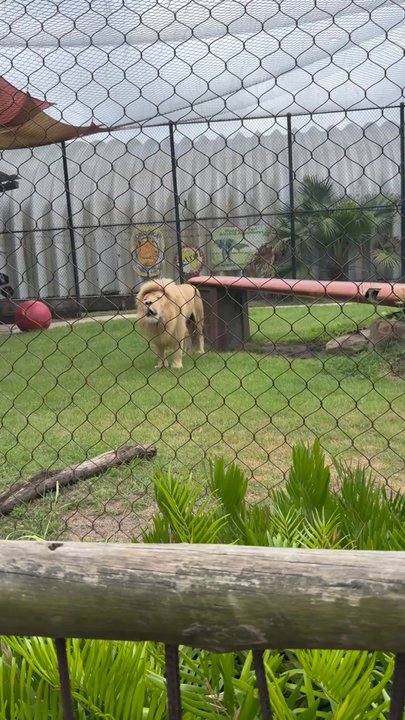 ZOO WORLD - Updated May 2026 - 464 Photos & 189 Reviews - 9008 Front ...