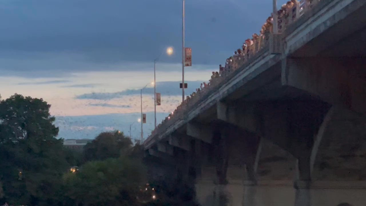 BATS UNDER THE CONGRESS AVENUE BRIDGE - Updated December 2025 - 820 ...