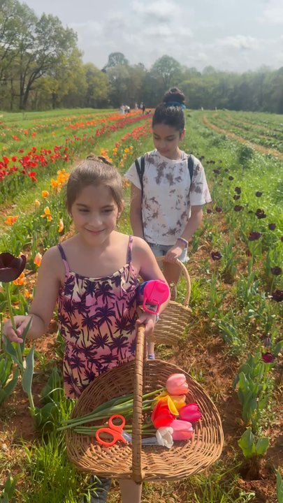HOWARD FAMILY FARM - Updated June 2025 - 68 Photos & 12 Reviews - 250 ...