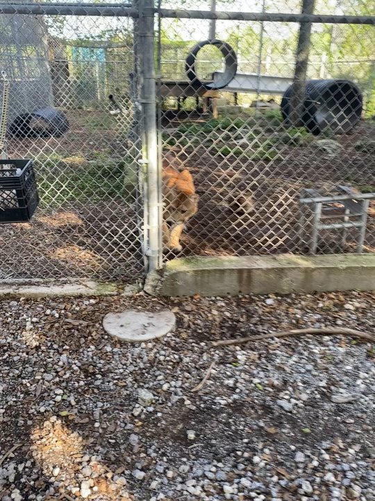 EVERGLADES OUTPOST - Updated December 2025 - 371 Photos & 102 Reviews ...