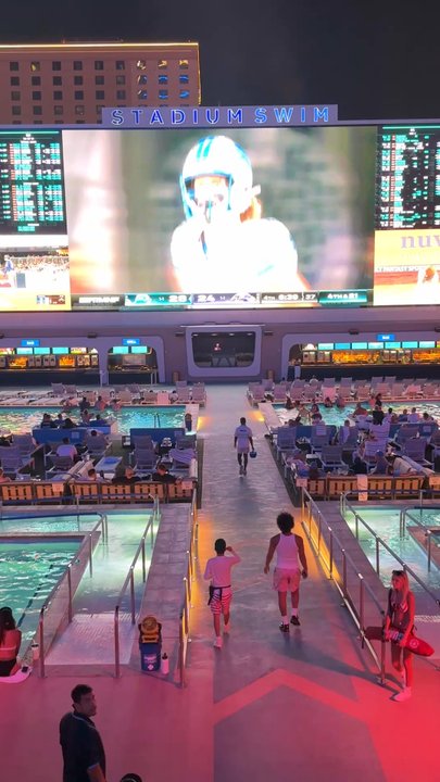 STADIUM SWIM - Updated April 2026 - 385 Photos & 216 Reviews - 8 ...