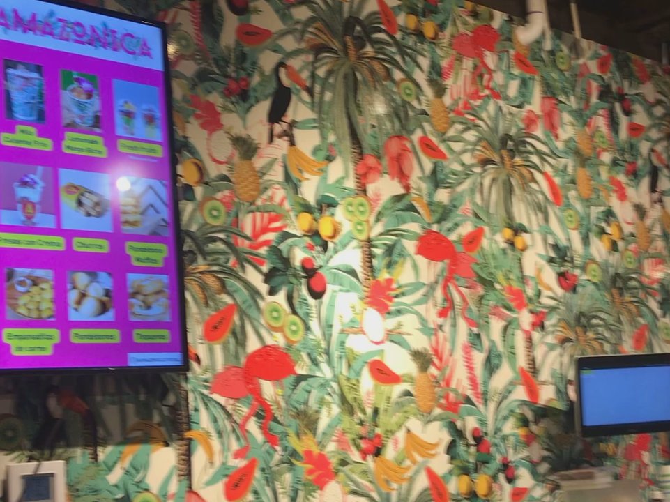 AMAZONICA - Updated November 2025 - 193 Photos & 126 Reviews - 5030 NE ...