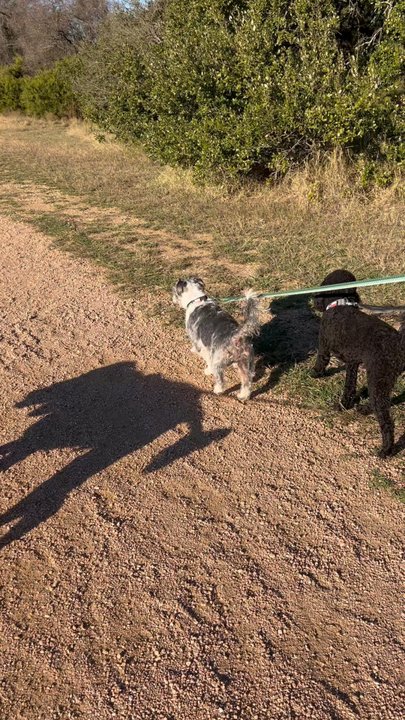 GAREY PARK - Updated January 2026 - 64 Photos & 43 Reviews - 6450 RM ...