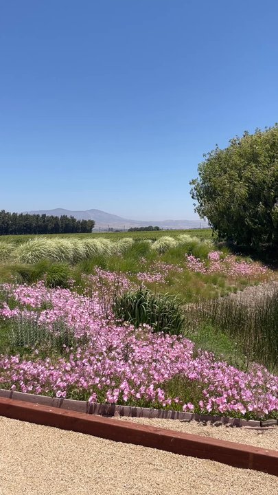 WRATH WINES - Updated December 2025 - 108 Photos & 71 Reviews - 35801 ...