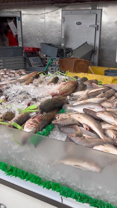 MUNICIPAL FISH MARKET AT THE WHARF - Updated July 2025 - 104 Photos ...