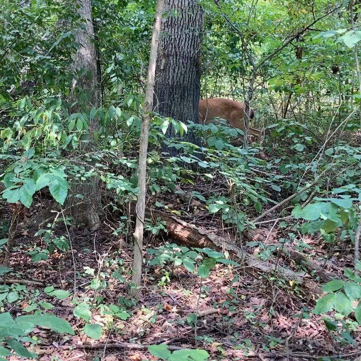 ELLANOR C LAWRENCE PARK - WALNEY VISITORS CENTER - Updated December ...
