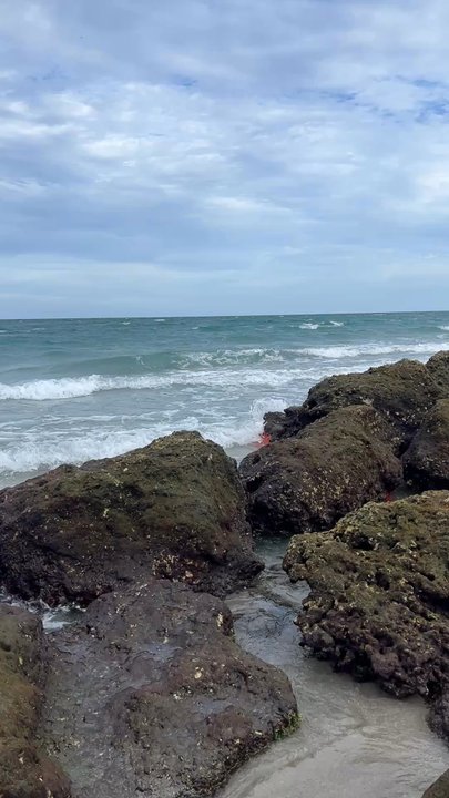 RED REEF PARK - Updated April 2026 - 180 Photos & 64 Reviews - 1400 N ...