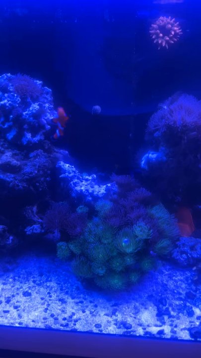 FLOATING SEA AQUATICS - Updated January 2026 - 292 Photos & 68 Reviews ...