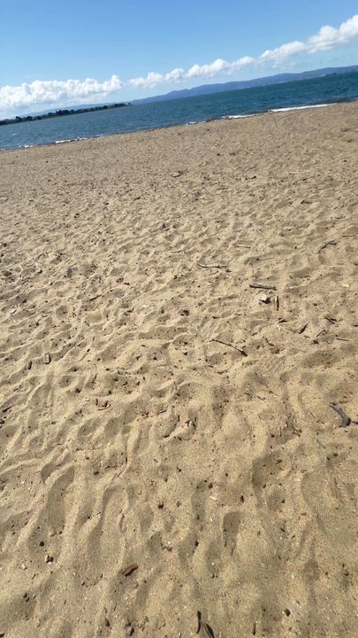 ALAMEDA BEACH - Updated June 2025 - 465 Photos & 161 Reviews - 2351 ...