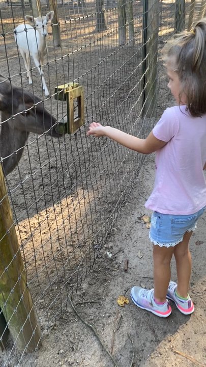 BEE CITY ZOO - Updated July 2025 - 396 Photos & 117 Reviews - 1066 ...