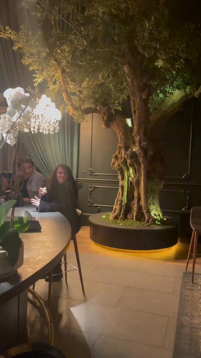 SANTE - Updated April 2025 - 130 Photos & 59 Reviews - 2309 Richmond ...