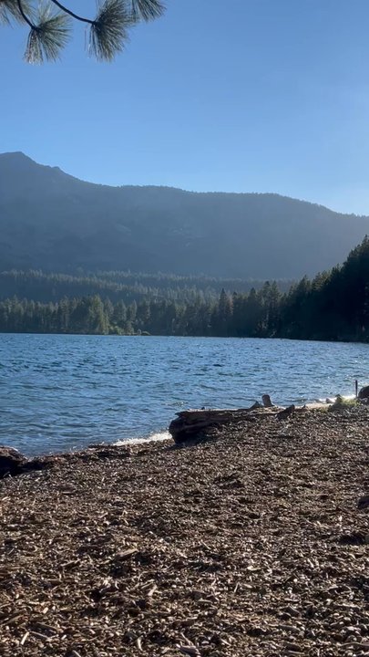 FALLEN LEAF CAMPGROUND - Updated October 2025 - 563 Photos & 169 ...