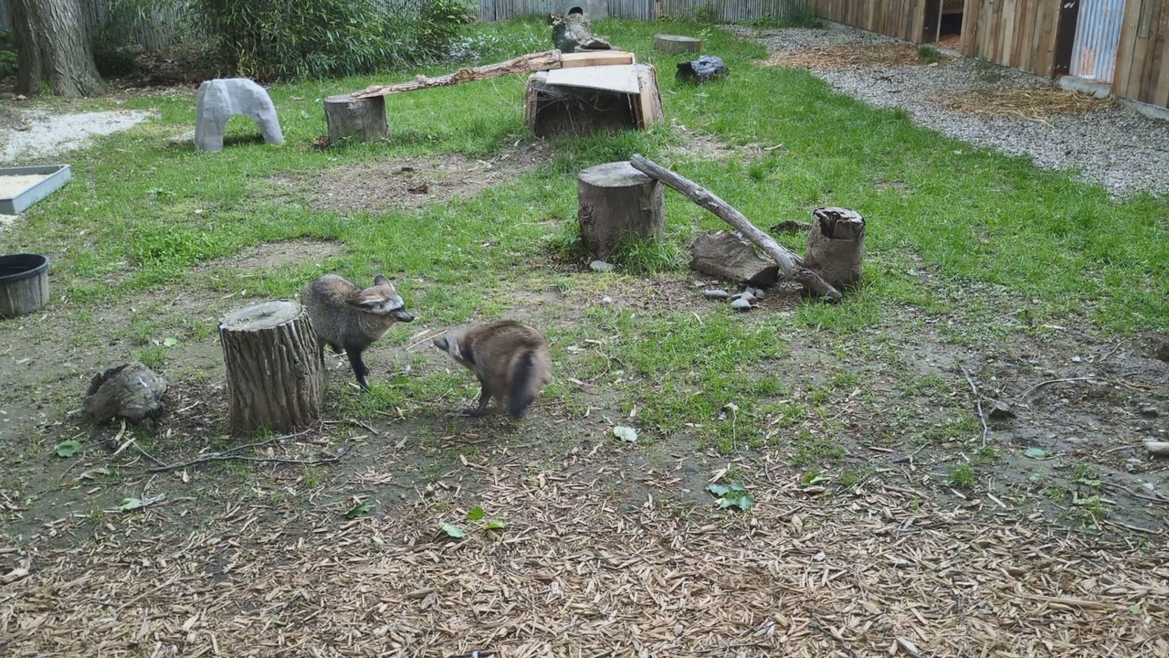 ROGER WILLIAMS PARK ZOO - Updated May 2026 - 1639 Photos & 321 Reviews ...