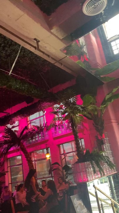 THE FLAMINGO BAR - Updated July 2025 - 72 Photos & 47 Reviews - 1855 ...