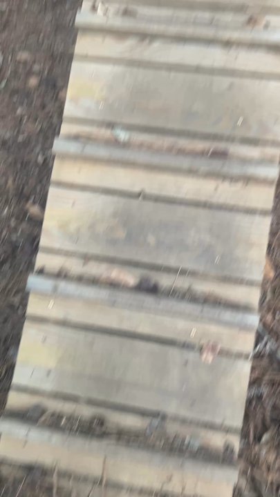 THE ADVENTURE PARK AT VIRGINIA AQUARIUM - Updated January 2026 - 457 ...