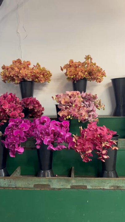 SAN FRANCISCO FLOWER MARKET - Updated December 2025 - 611 Photos & 229 ...