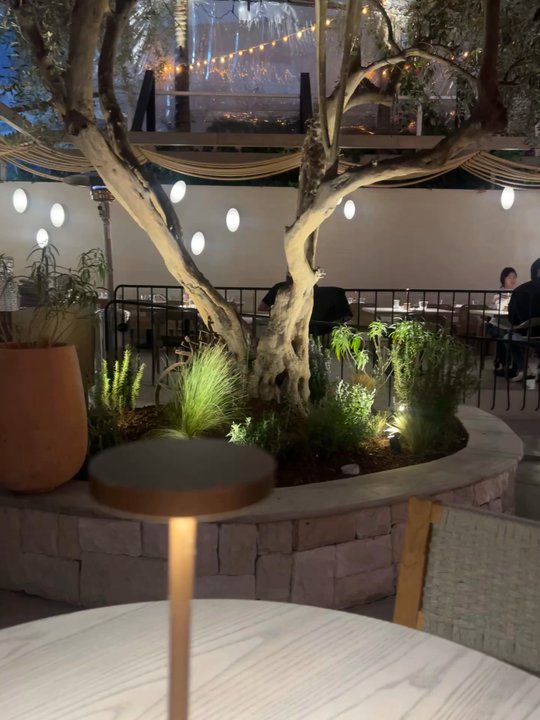 LAYA RESTAURANT - Updated April 2025 - 548 Photos & 218 Reviews - 1430 ...