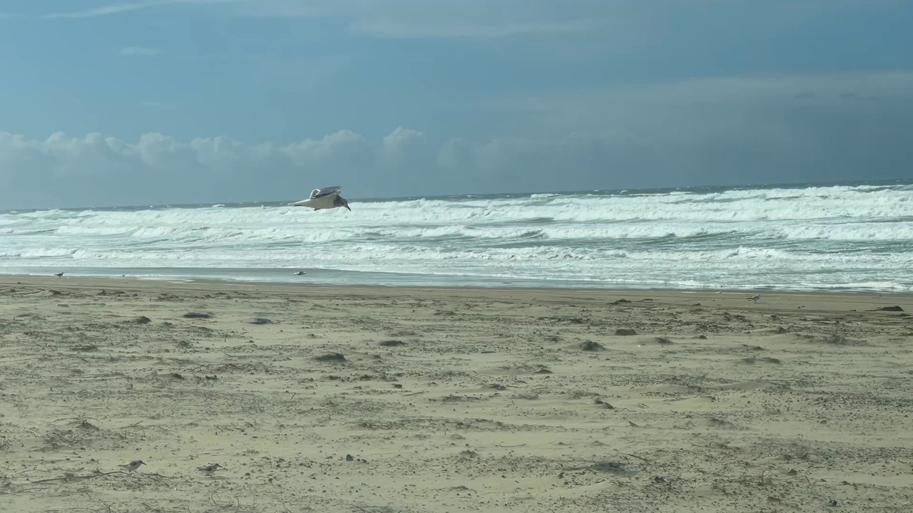 OCEANO DUNES STATE VEHICULAR RECREATION AREA - Updated November 2025 ...