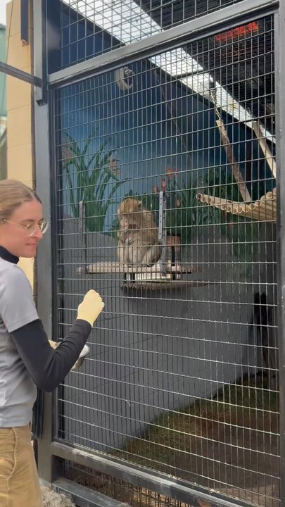 THE FOLSOM CITY ZOO SANCTUARY - Updated October 2025 - 635 Photos & 278 ...