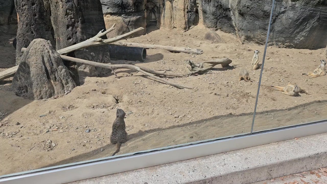 GREENSBORO SCIENCE CENTER - Updated August 2025 - 1409 Photos & 236 ...