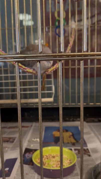 WILD RUMPUS - Updated October 2025 - 94 Photos & 125 Reviews - 2720 W ...