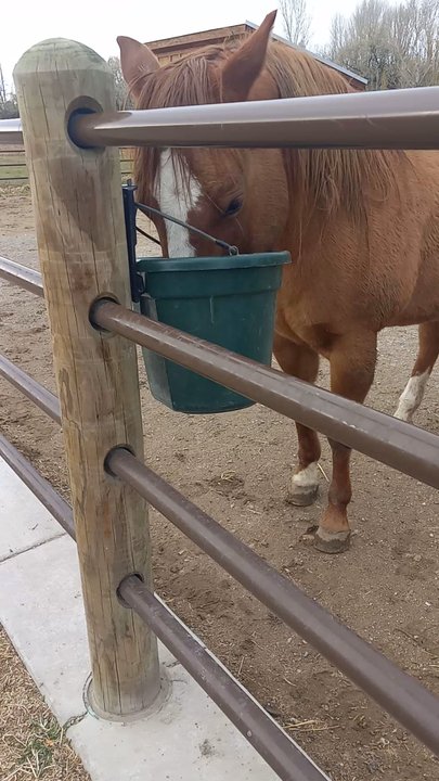 WHEELER HISTORIC FARM - Updated December 2025 - 265 Photos & 107 ...