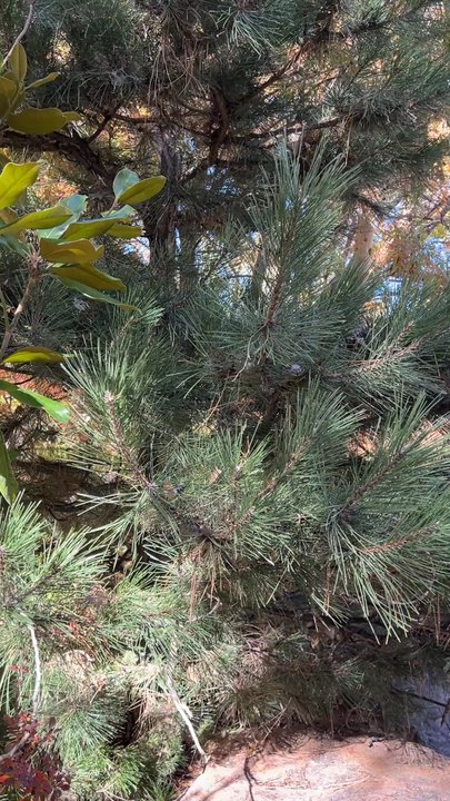 ABQ BIOPARK BOTANIC GARDEN - Updated December 2025 - 1307 Photos & 168 ...