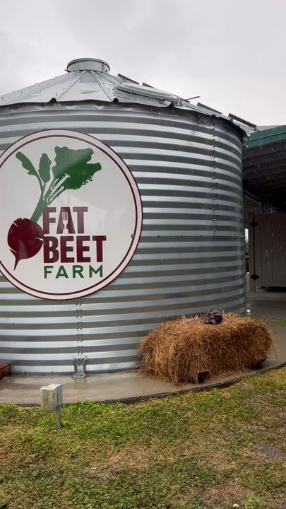 FAT BEET FARM - Updated August 2025 - 316 Photos & 158 Reviews - 13830 ...