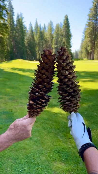 LAKE ALMANOR WEST GOLF COURSE - Updated June 2026 - 27 Photos & 11 ...