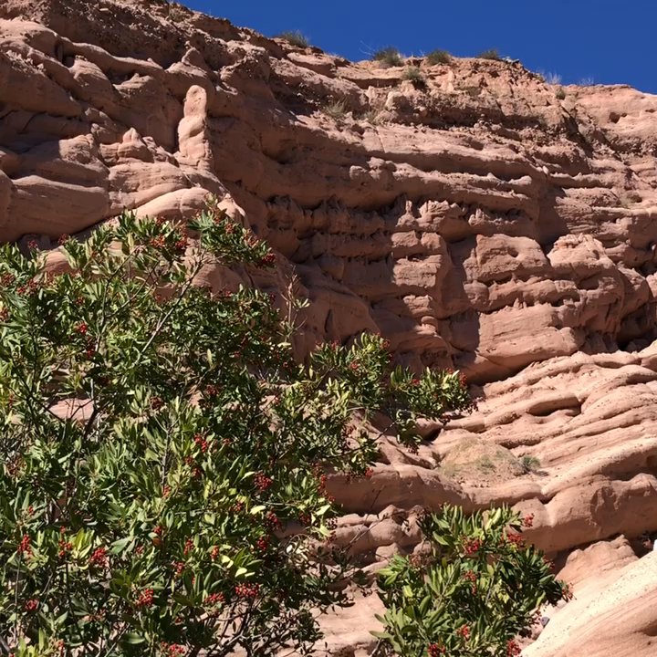 RED ROCK CANYON - Updated January 2025 - 519 Photos & 118 Reviews - Red ...