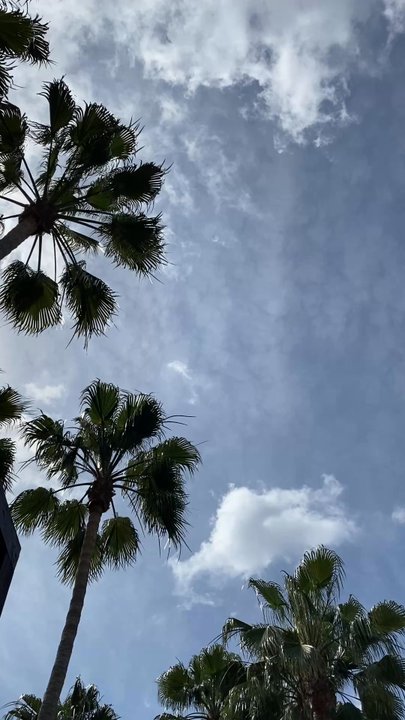 DISNEY CALIFORNIA ADVENTURE PARK - Updated March 2025 - 20880 Photos ...