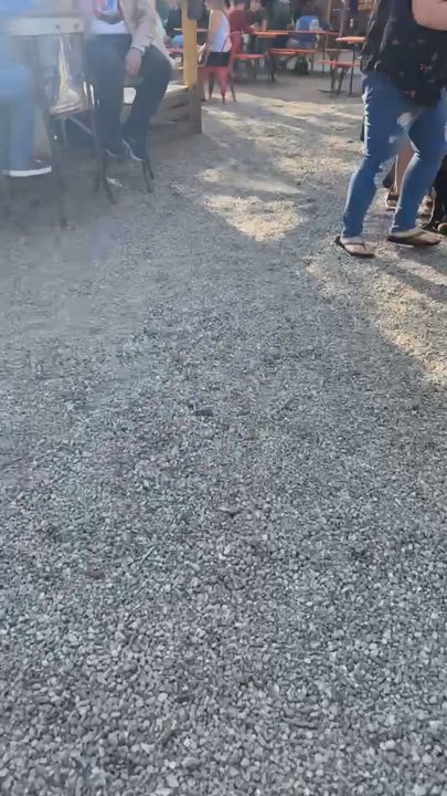 WANDERLUST BEER GARDEN - Updated October 2025 - 61 Photos & 23 Reviews ...