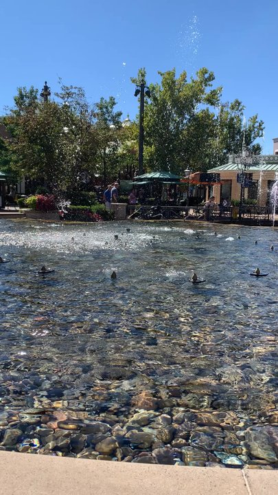 STATION PARK - Updated January 2026 - 31 Photos & 57 Reviews - 140 N ...