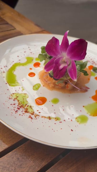 VOLO RESTAURANT WINE BAR - Updated February 2026 - 558 Photos & 645 ...