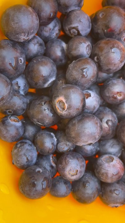 PEDRICK PRODUCE - Updated July 2025 - 1242 Photos & 606 Reviews - 6850 ...