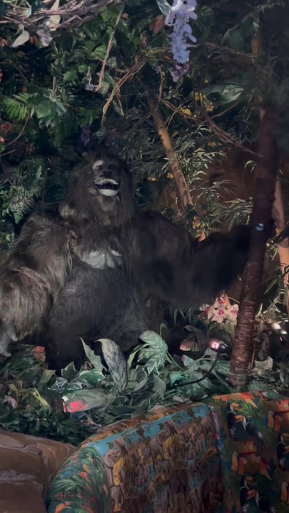 RAINFOREST CAFE - Updated January 2026 - 815 Photos & 574 Reviews ...