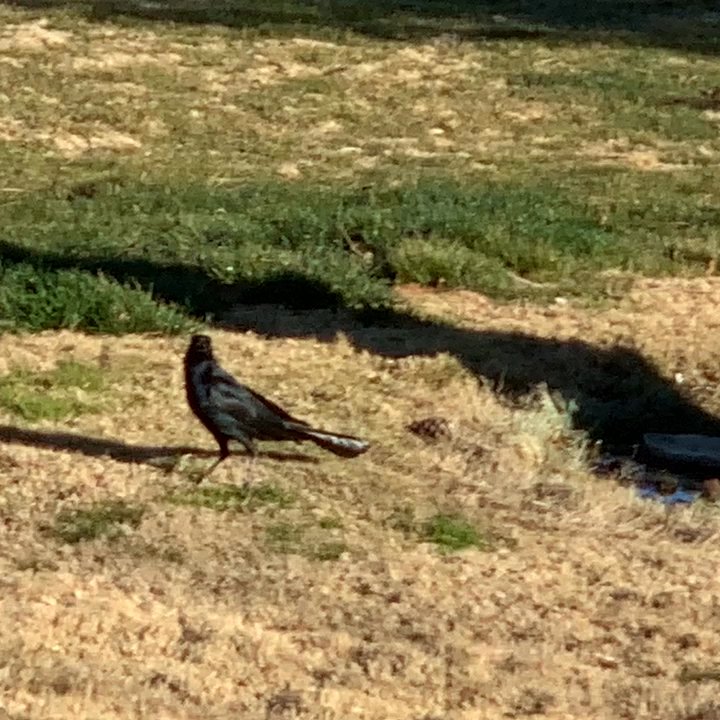 RED RIDGE PARK - Updated February 2025 - 507 Photos & 62 Reviews - 9135 ...