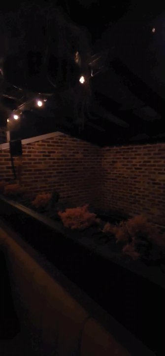 DEATH & CO DC - Updated March 2025 - 132 Photos & 81 Reviews - 124 ...