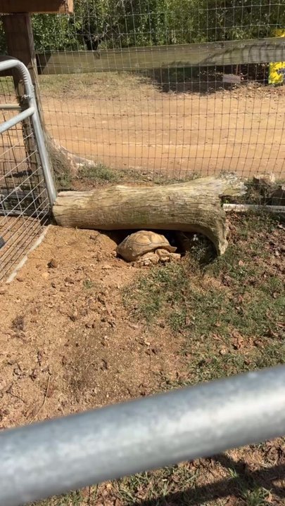 BJ REECE ORCHARDS - Updated January 2026 - 488 Photos & 208 Reviews ...