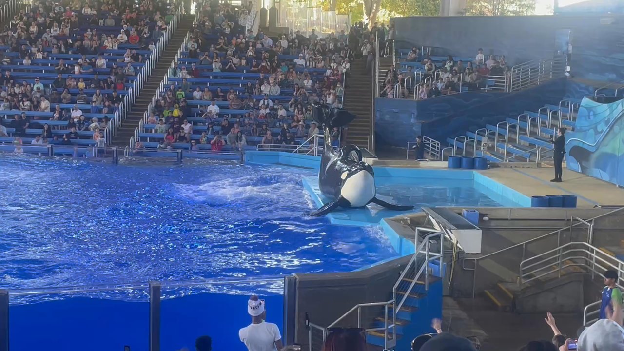 SEAWORLD SAN ANTONIO - Updated June 2026 - 2347 Photos & 1087 Reviews ...