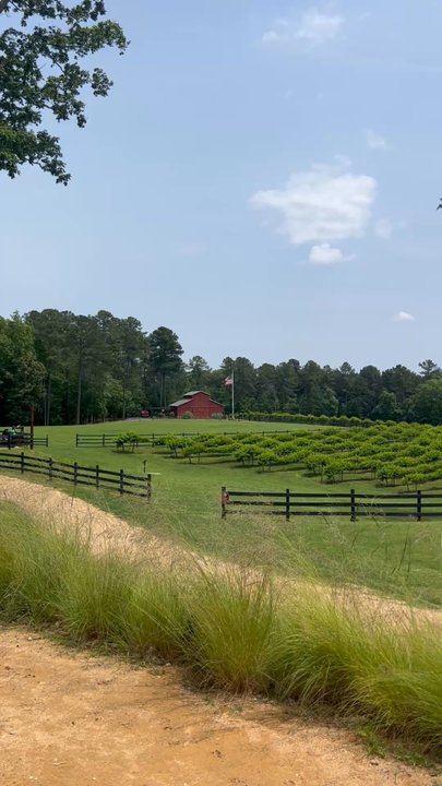 ZINCHOUSE WINERY & BREWERY - Updated December 2025 - 306 Photos & 147 ...